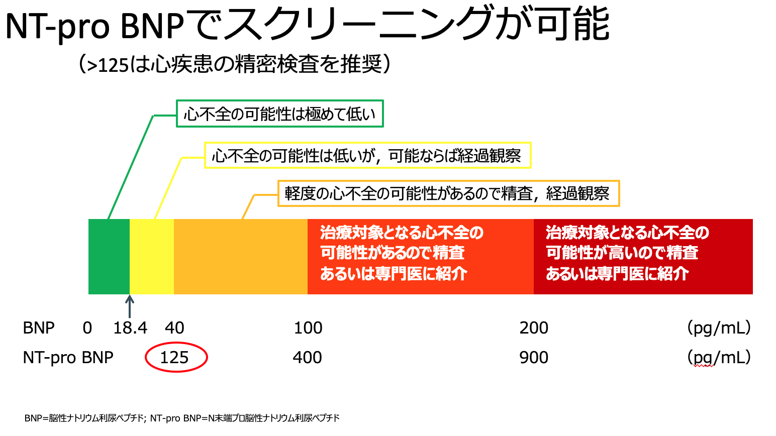 血液検査で心不全かどうかを知る NT-pro BNPとは？｜蕨市蕨駅・西川口駅の内科・循環器内科｜わらび内科・循環器内科クリニック